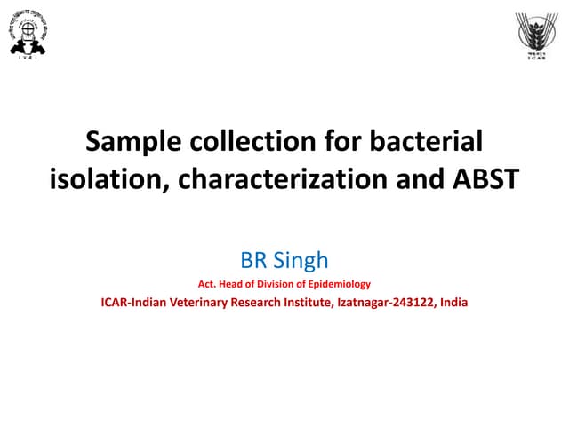 Sample Collection For Bacterial Isolation Characterization And