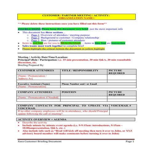 Customer/ Partner Briefing Template for Executive Assistants | DOCX
