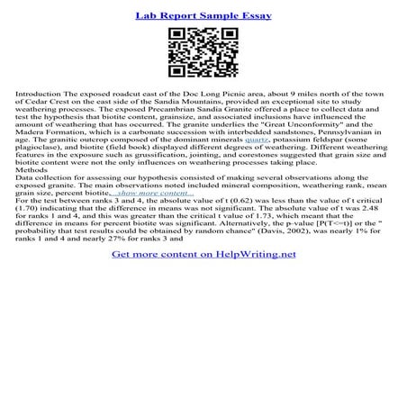 Sample Essay Report | PDF