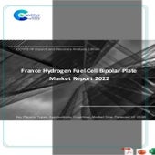 Sample France Hydrogen Fuel Cell | PDF
