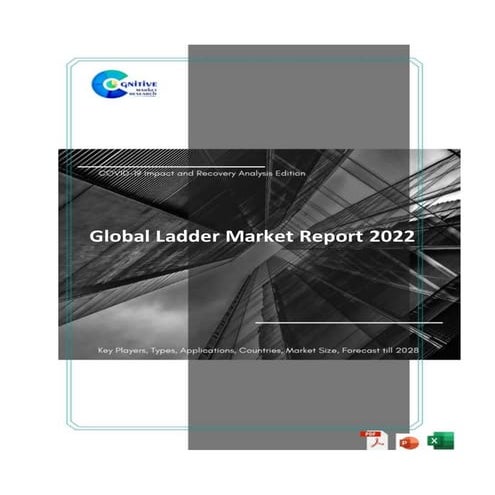 Sample Global Ladder Market | DOCX