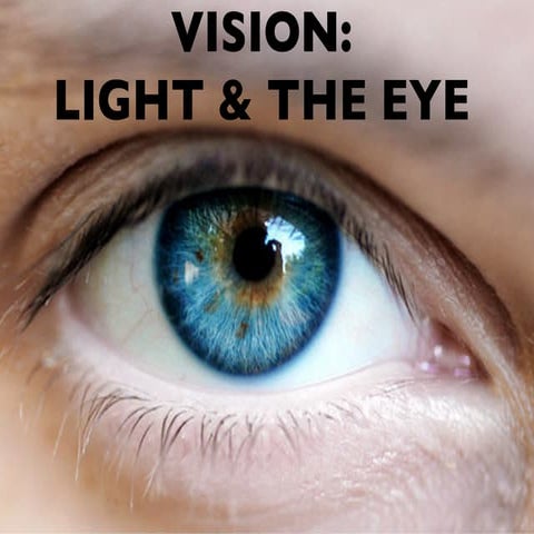 Vision: Light & The Eye (Sample Lecture Slides) | PDF | Eye and Vision ...