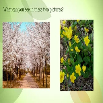 Sample lesson: What is a plant? | PDF