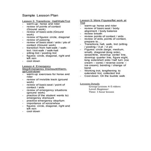 Sample lesson plan column format | DOCX
