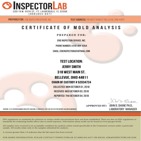 Sample Mold Report | PDF