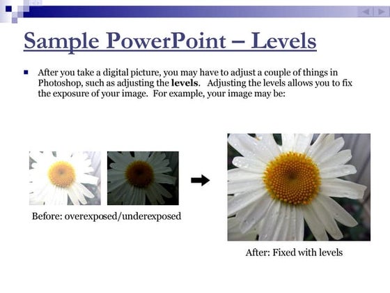 Cropping Tutorial One: The Crop Tool | PPT