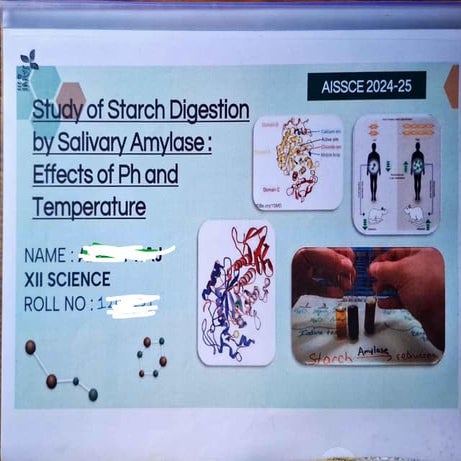 Class 12 Chemistry Investigatory Project.pdf