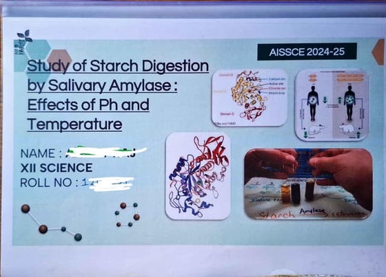 Chemistry investigatory project | PDF | Chemistry | Science