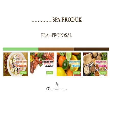 Sample Spa Business Plan | PPT