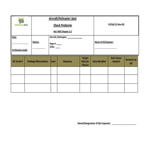 Sample Spot Check Report of Aircraft.docx