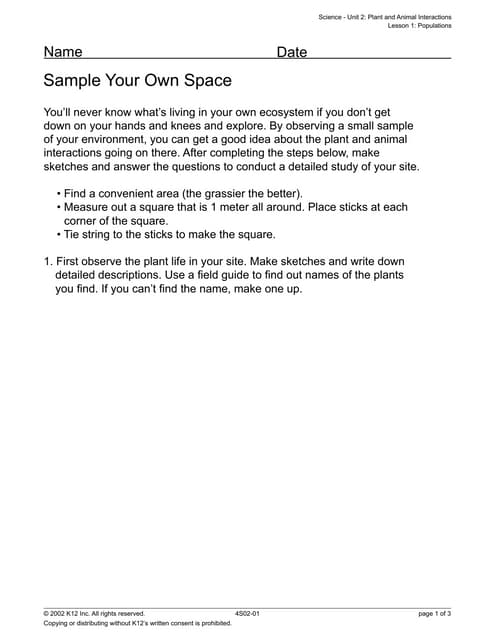 Performance task- The ecolumn | PPT