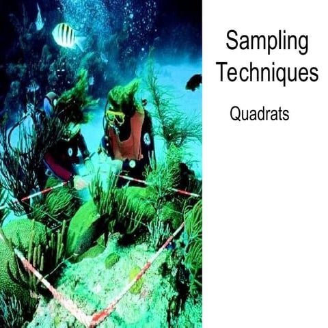 Methods of sampling vegetation.pptx