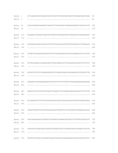 Fake amino acids | DOC