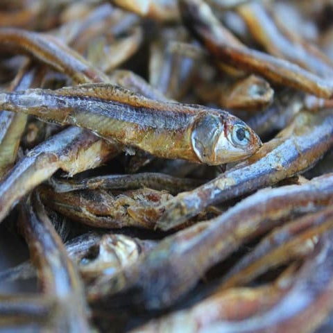 Samsung: Making of Global Brand | PPT