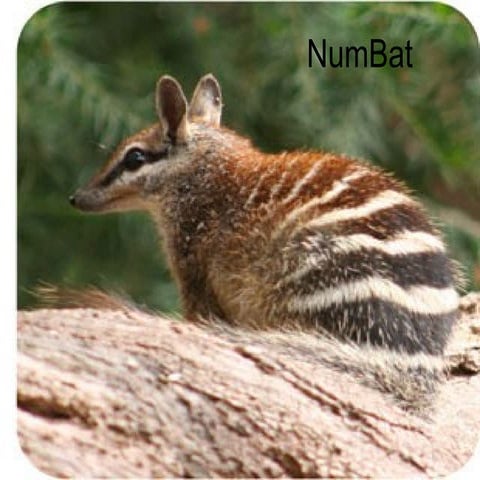 Numbat | PPT