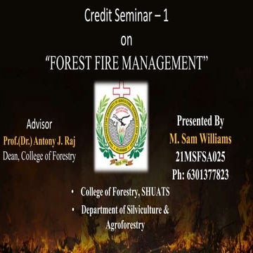forest fire management.ppt