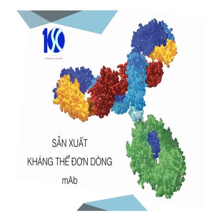 quy trình và nguyên lý sản xuất kháng thể đơn dòng | PDF