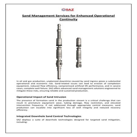 Sand Management Services for Enhanced Operational Continuity.pdf