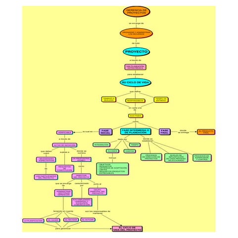 Prezentare pp word | PPT