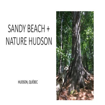 Save Sandy Beach - Presentation | PDF