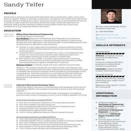 Sandy Telfer visual_cv | PDF