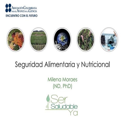 Seguridad Alimentaria y Nutricional | PPTX