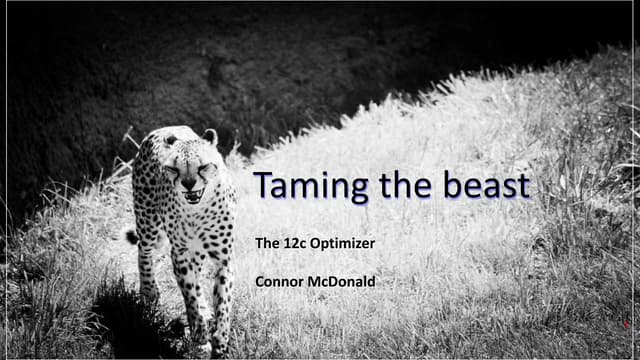 Sangam 18 The New Optimizer In Oracle 12c Ppt