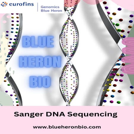 Understanding Sanger Sequencing_ A Step-by-Step Guide.pdf