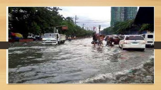 FILIPINO 5 SANHI AT BUNGA.pptx