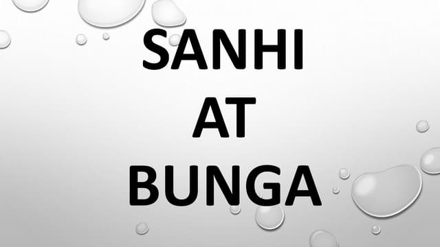 Filipino - Sanhi at Bunga | PPTX