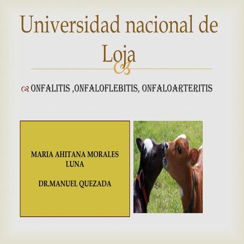 Onfalitis (Onfaloflebitis, Onfaloarteritis) | PDF