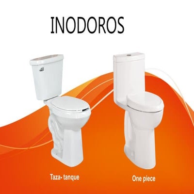 DESCRIPCION Y CARACTERISTICAS DE INODOROS.pptx