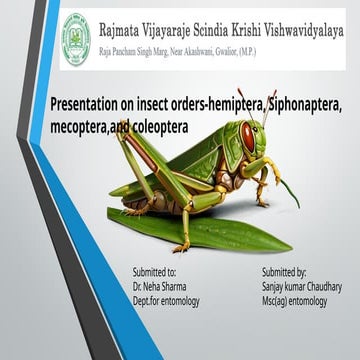Entomology | PPT