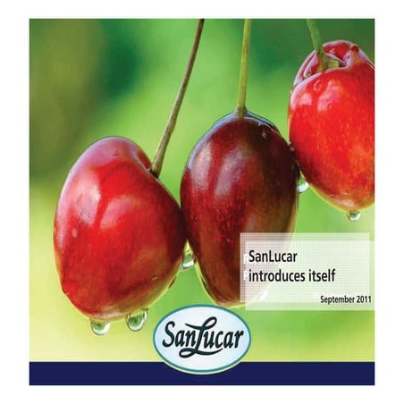 San lucar introduces itself | PPT