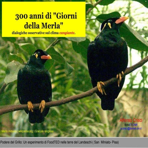 300 anni di giorni della merla | PPTX