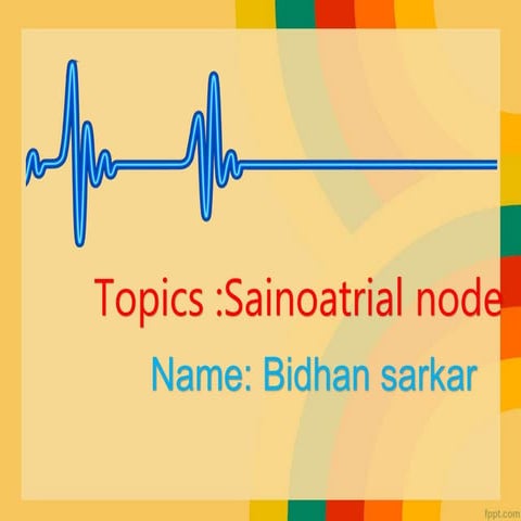 SINOATRIAL NODE | PPTX