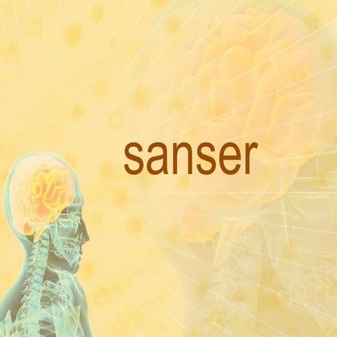 Sanser | PPT