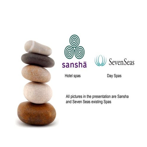 Sansha Spa company profile | PDF