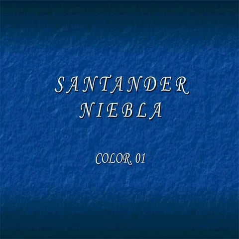 Santander niebla. color | PPS