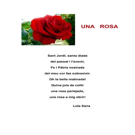 Sant jordi poema | ODT