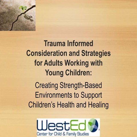 Trauma-Informed Considerations and Strategies for Adults Working with ...