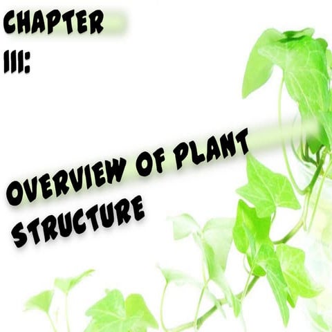 overview of plant structure | PPTX