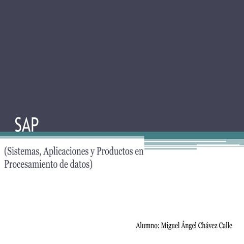 SAP BASICO. UNIDAD I | PDF