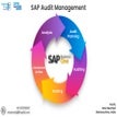 sap-audit.pdf