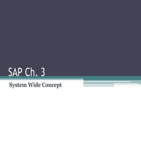 SAP - System Wide Concept.pdf