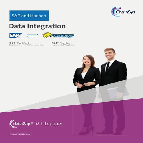 SAP to Hadoop data integration process Steps | PDF