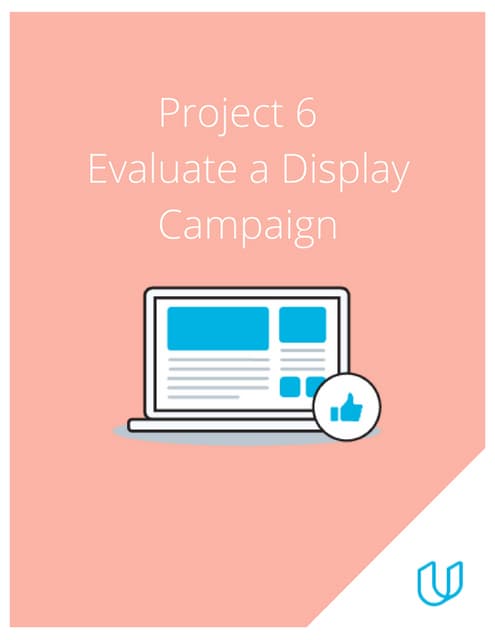 SA P6- Evaluate a Display Campaign Project | PDF