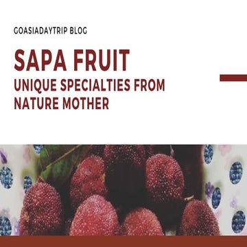 Sapa fruits – Unique specialties from nature mother | PDF