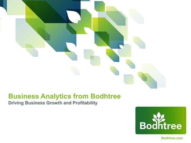 Business Analytics From Bodhtree Ppt