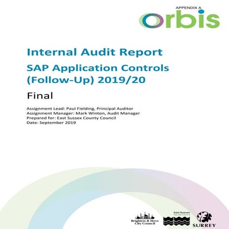 SAP Application Controls Follow-up - final audit report.pdf